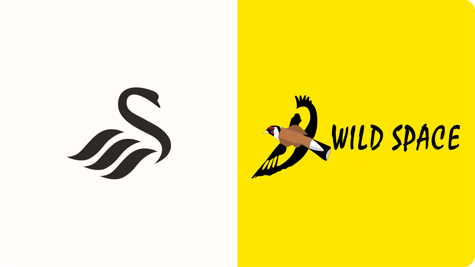 Swansea City partner with WildSpace to provide a sensory space in the family stand | Swansea